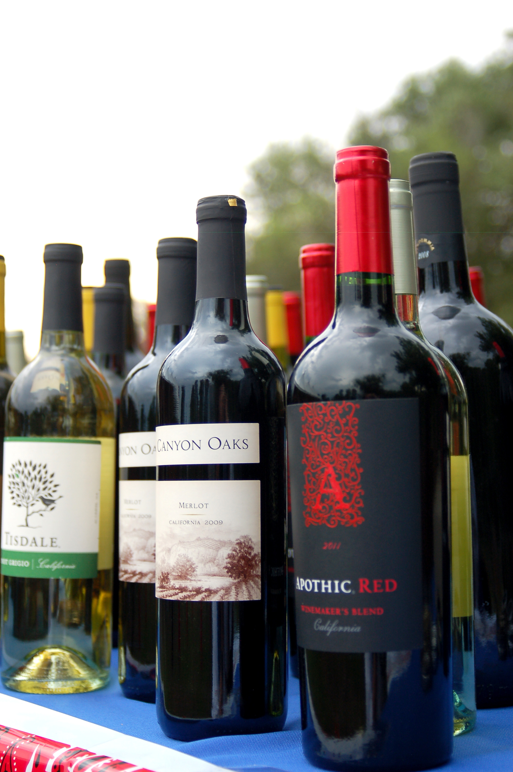 Wide variety of wines waiting to be won