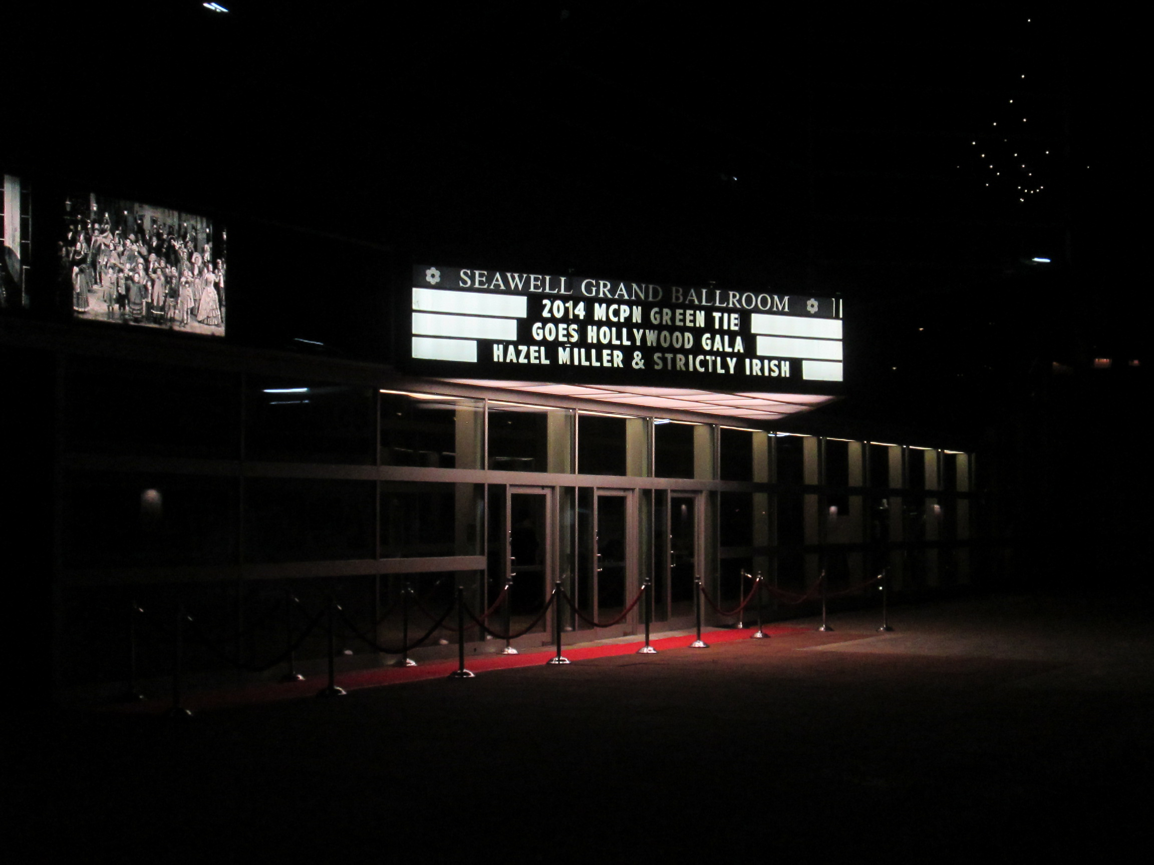 The DCPA Seawell Ballroom hosted the 10th Annual Green Tie Gala