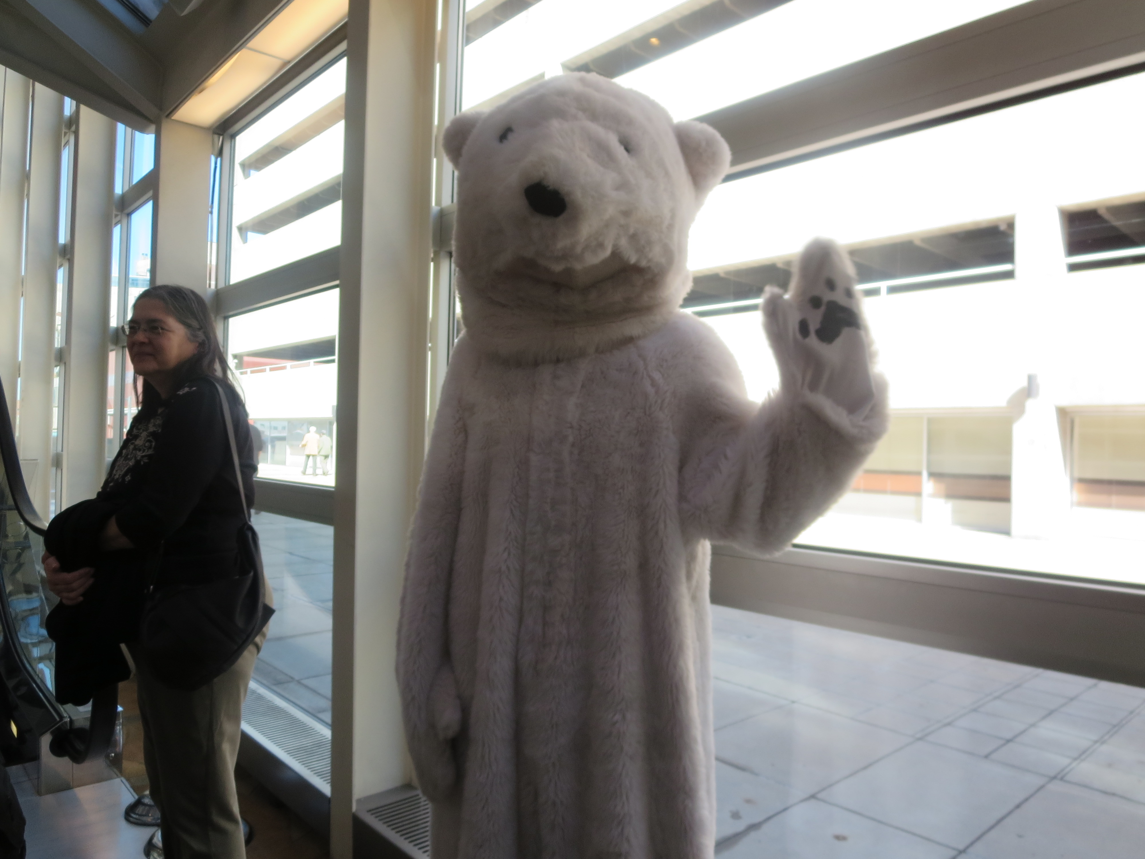 Volunteer Polar Bear Greeter!