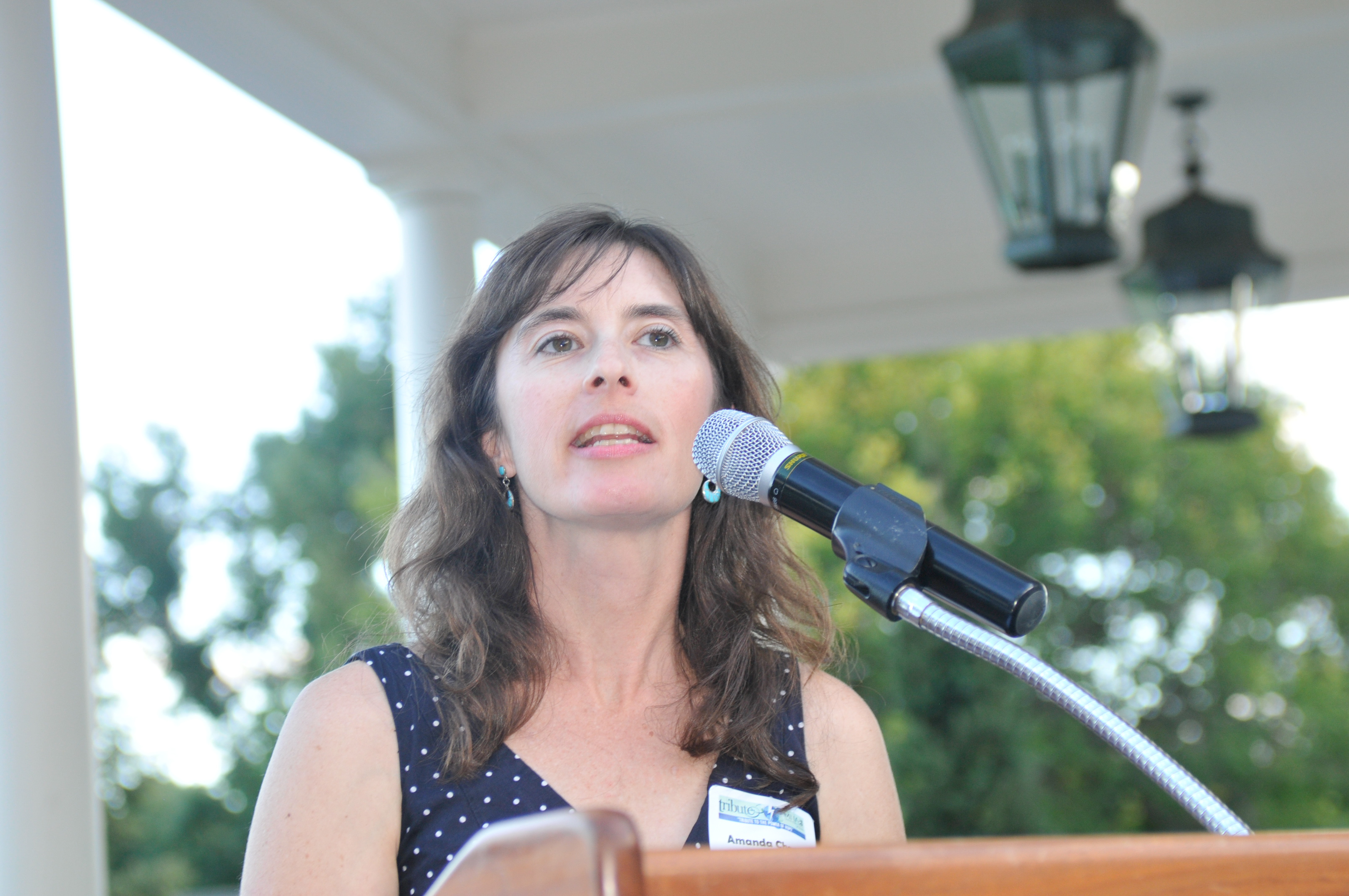 Amanda Chaney talks to the attendees