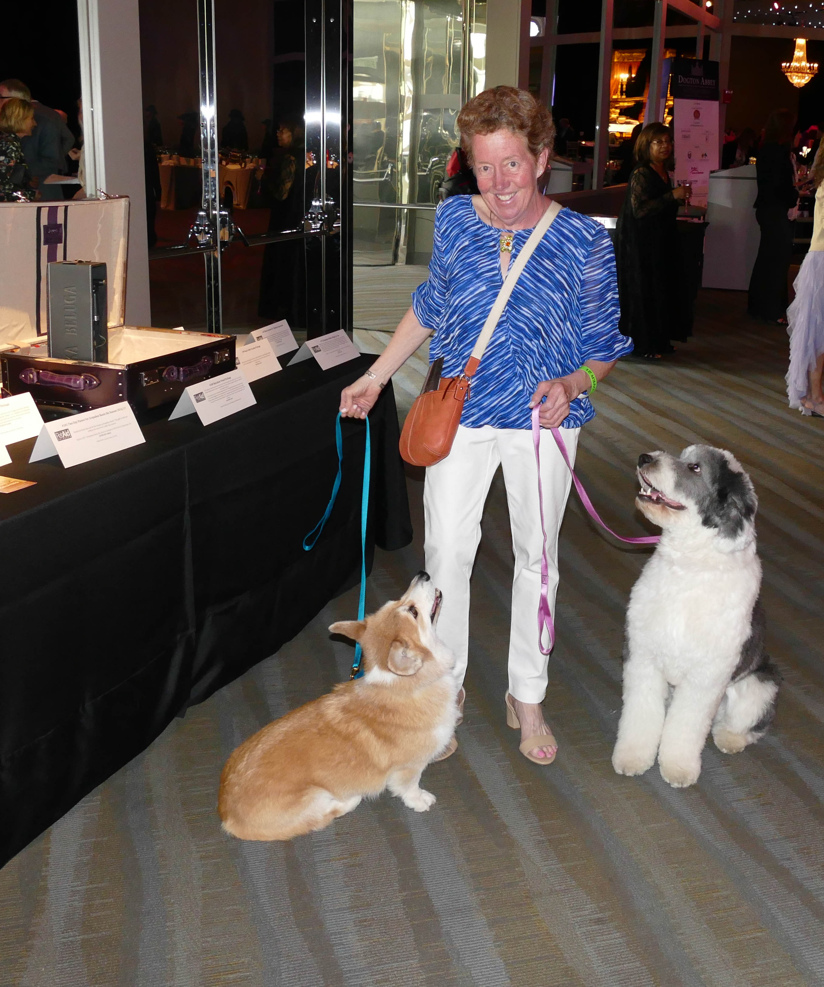 Board President Meg Armstrong with Kip the Corgi and Dallas, the sheepdog