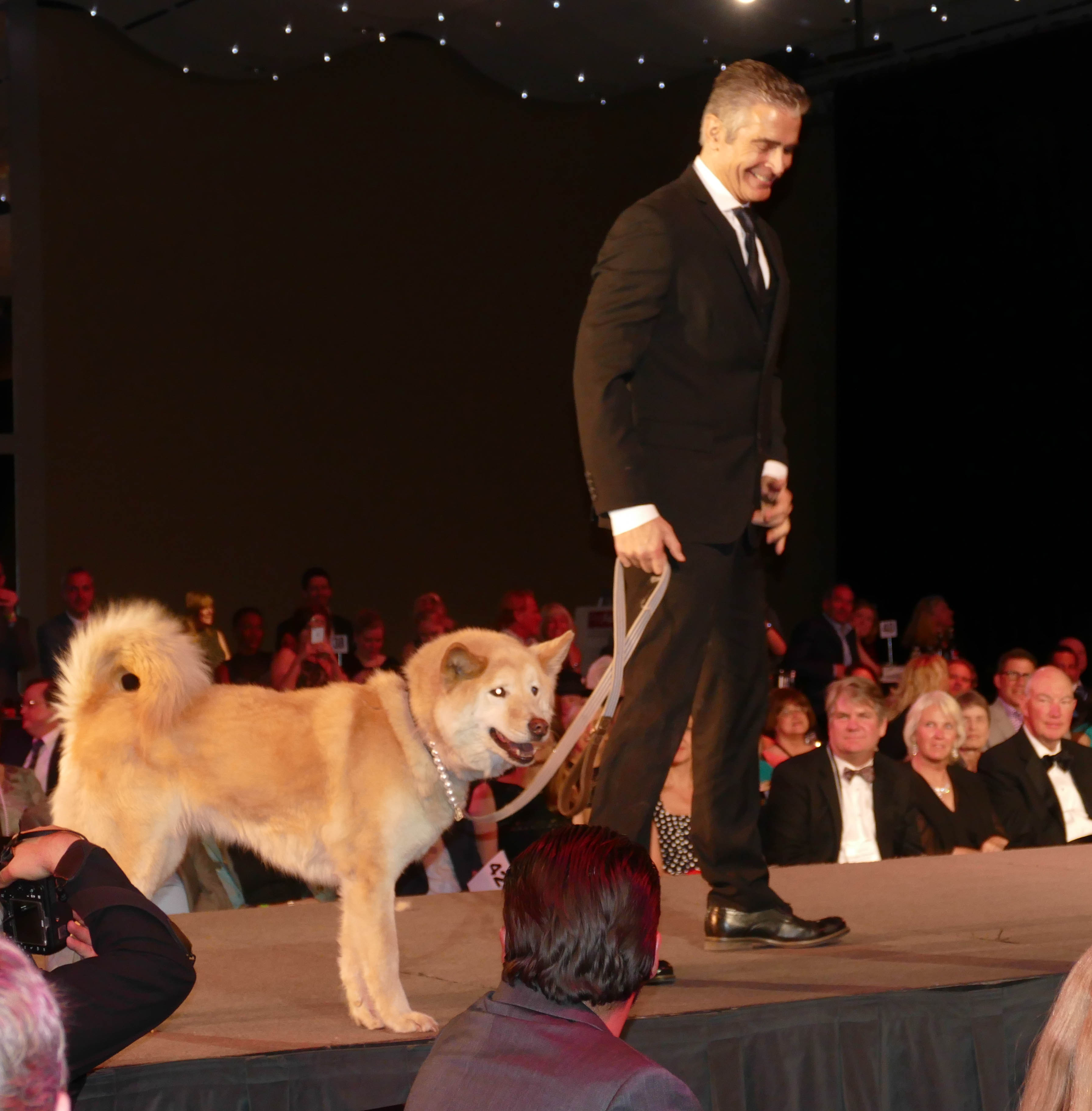 Alan Gionet and Apache