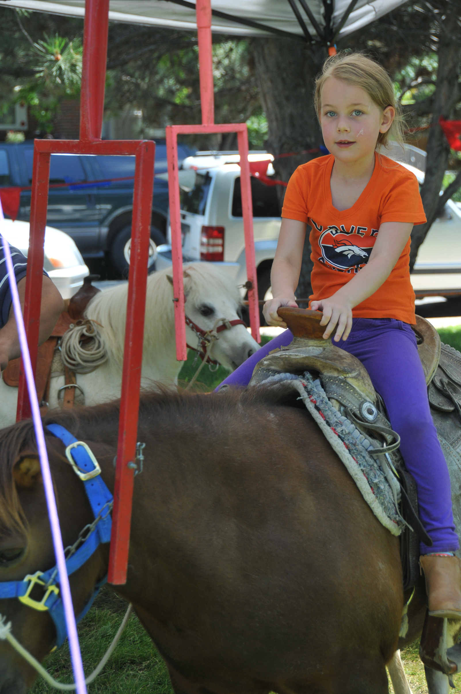 Every year the pony rides provide a special treat for kids