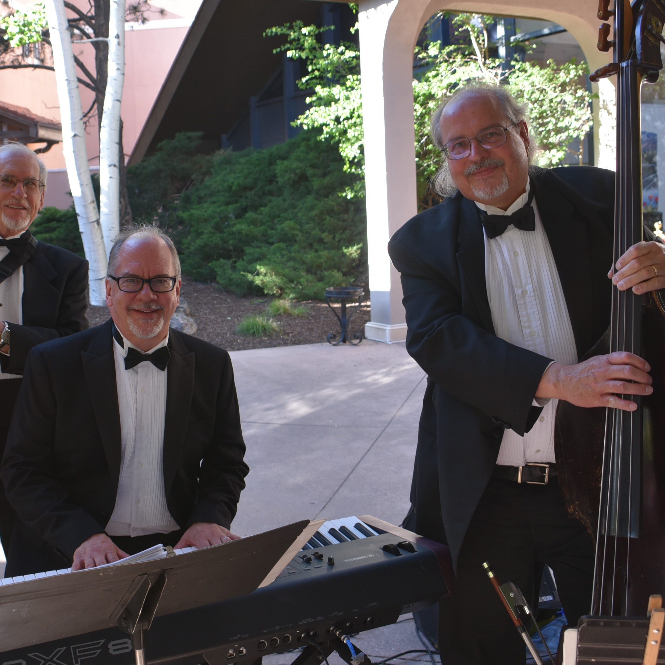 The Standard Time Trio--Al Ferguson, Ken Janzen and Ron Land